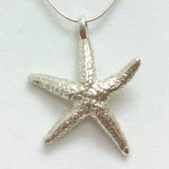 Starfish – SM – Oceans Allure